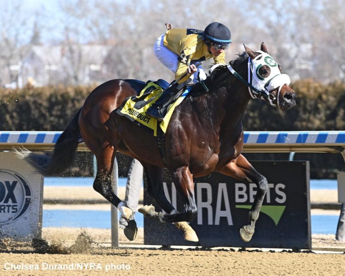 'I'd Rather Just Keep Taking It Step By Step': Drew's Gold Could Aim ...