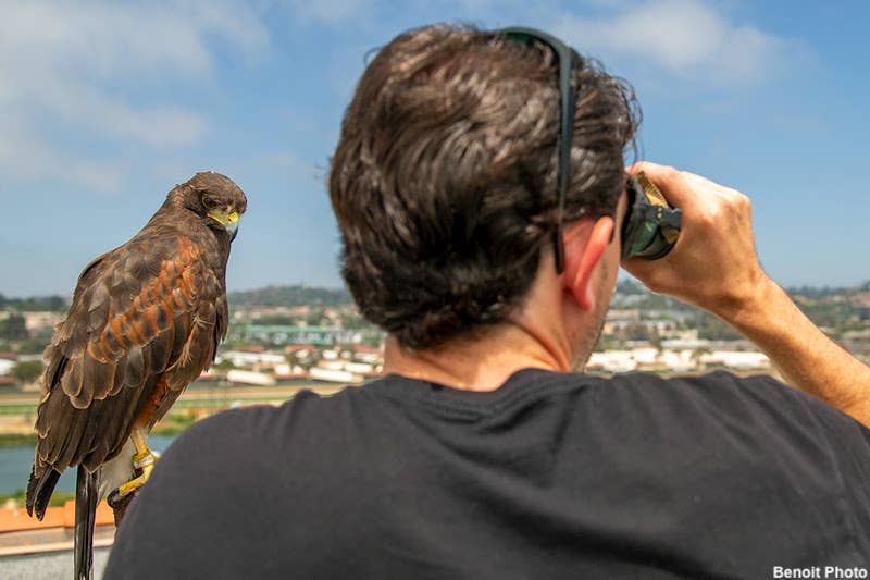 Fanduel's Pony Chasers Capturing Thoroughbreds From High In The Sky ...