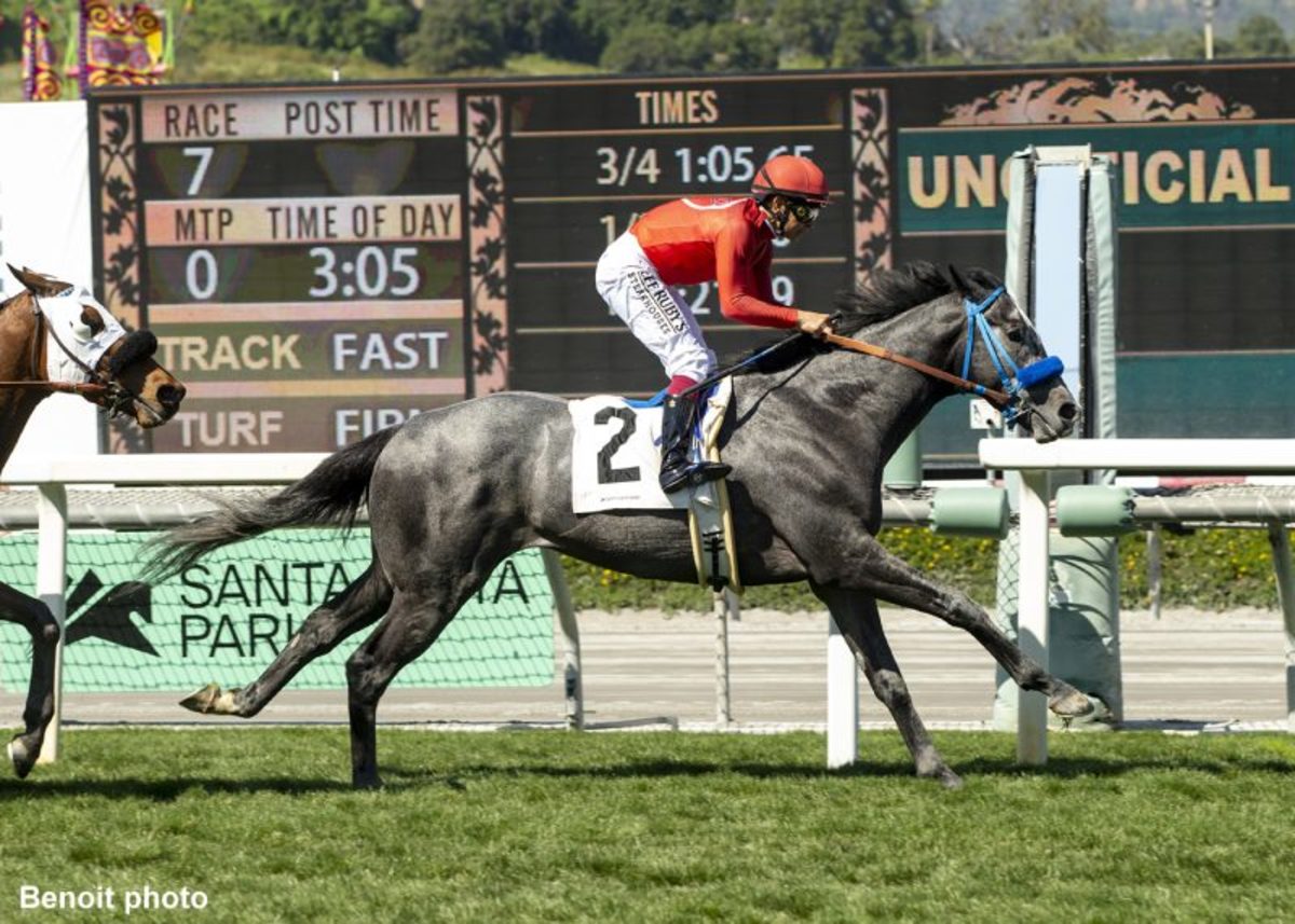 'He Really Loved Coming Down The Hill': First Peace Cruises To First ...