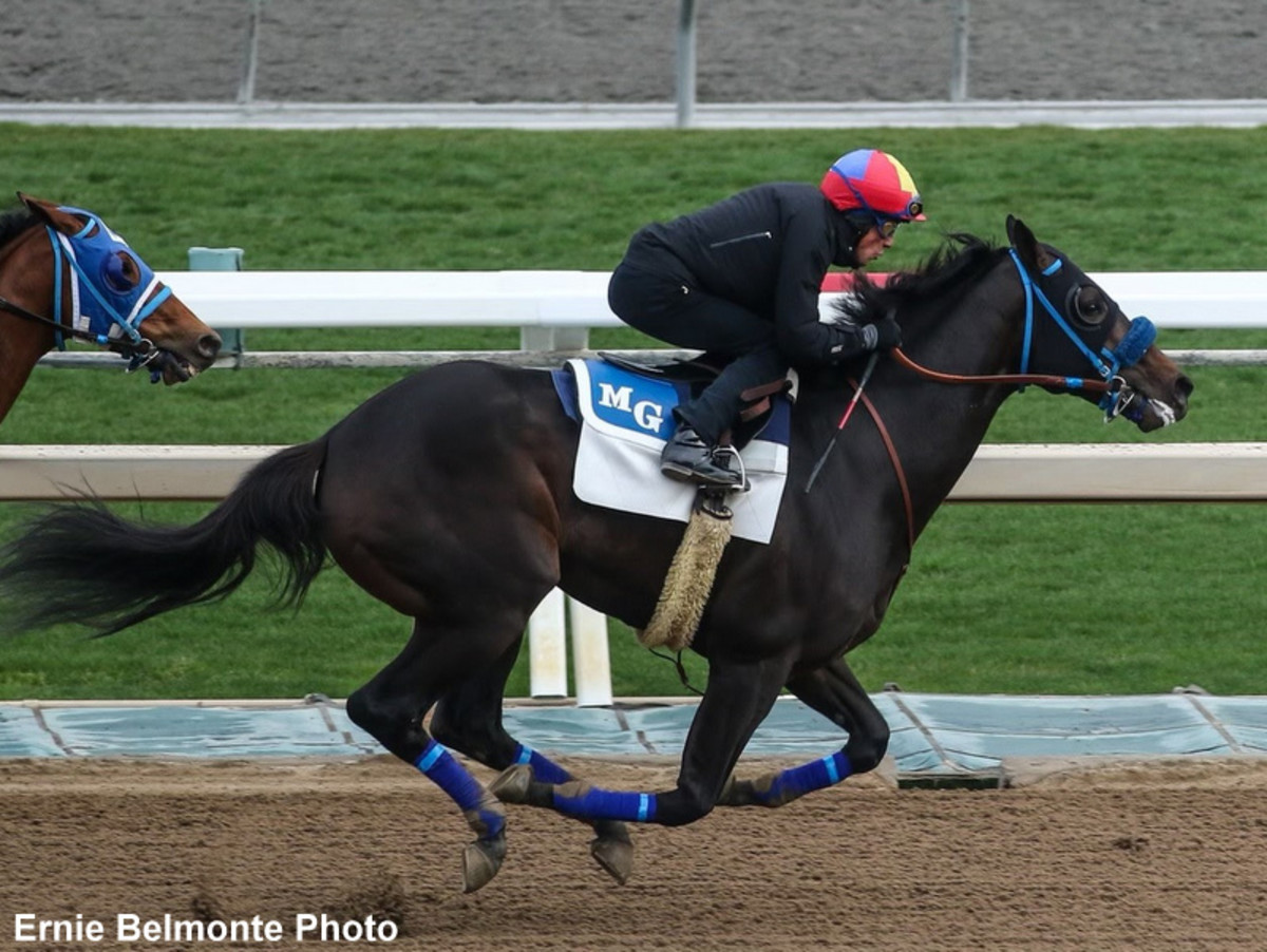 $1.7 Million OBS April Buy Ultimate Gamble Returns In Saturday Maiden ...