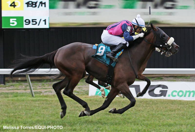 Precious Avary Surprises In Jersey Girl, Provides Trainer Shaw First ...