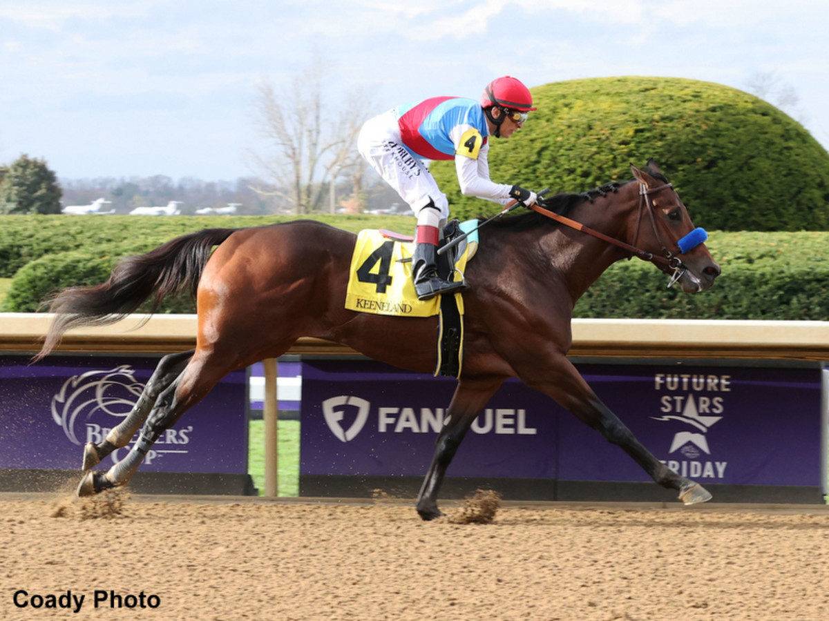 'We Don't Know How Good He Is Yet': Baffert Ships Arabian Knight To ...