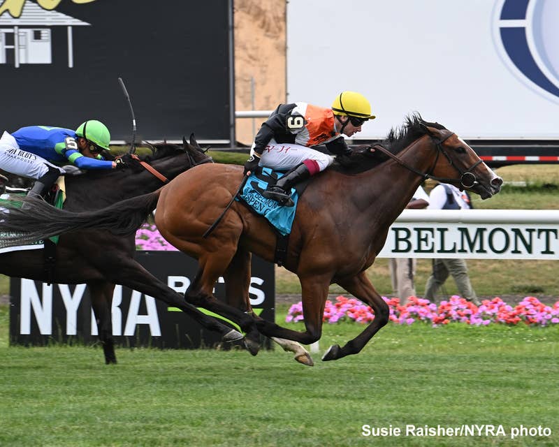 Del Mar Or Saratoga: Stack To Seek Murphy's Input Before Deciding On ...