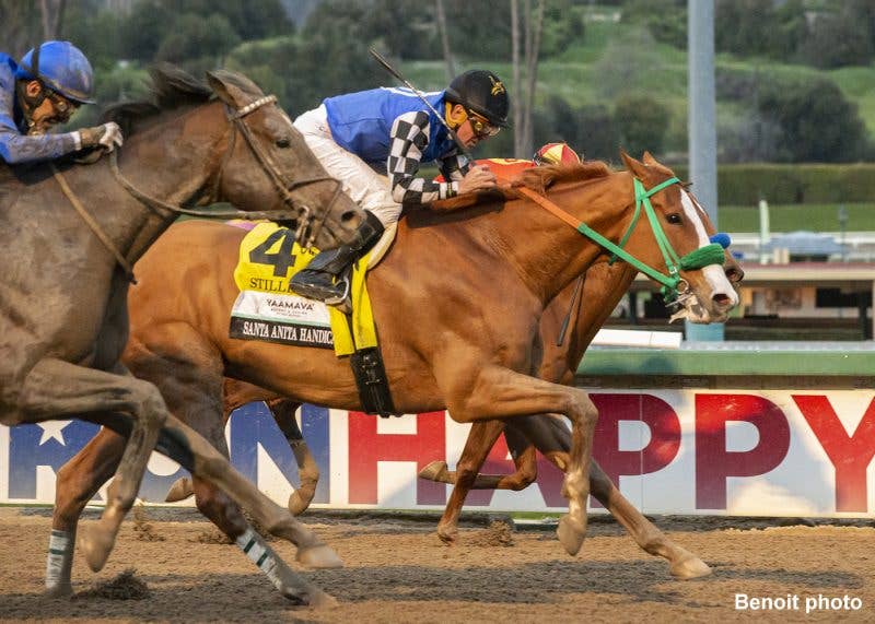 'He Gave Me Everything': Desormeaux Drives Stilleto Boy To Victory Over ...