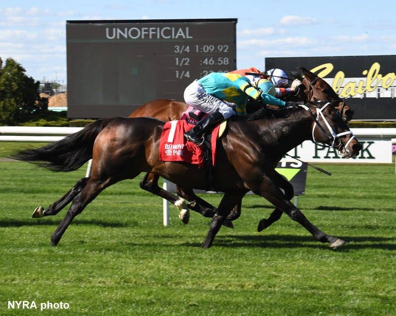 Anaconda Mows Down Rivals In Elusive Quality - Paulick Report | Latest ...
