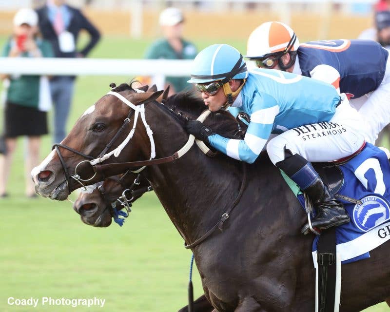 Virginia-Bred Gigante Pulls 22-1 Surprise In Secretariat - Paulick ...