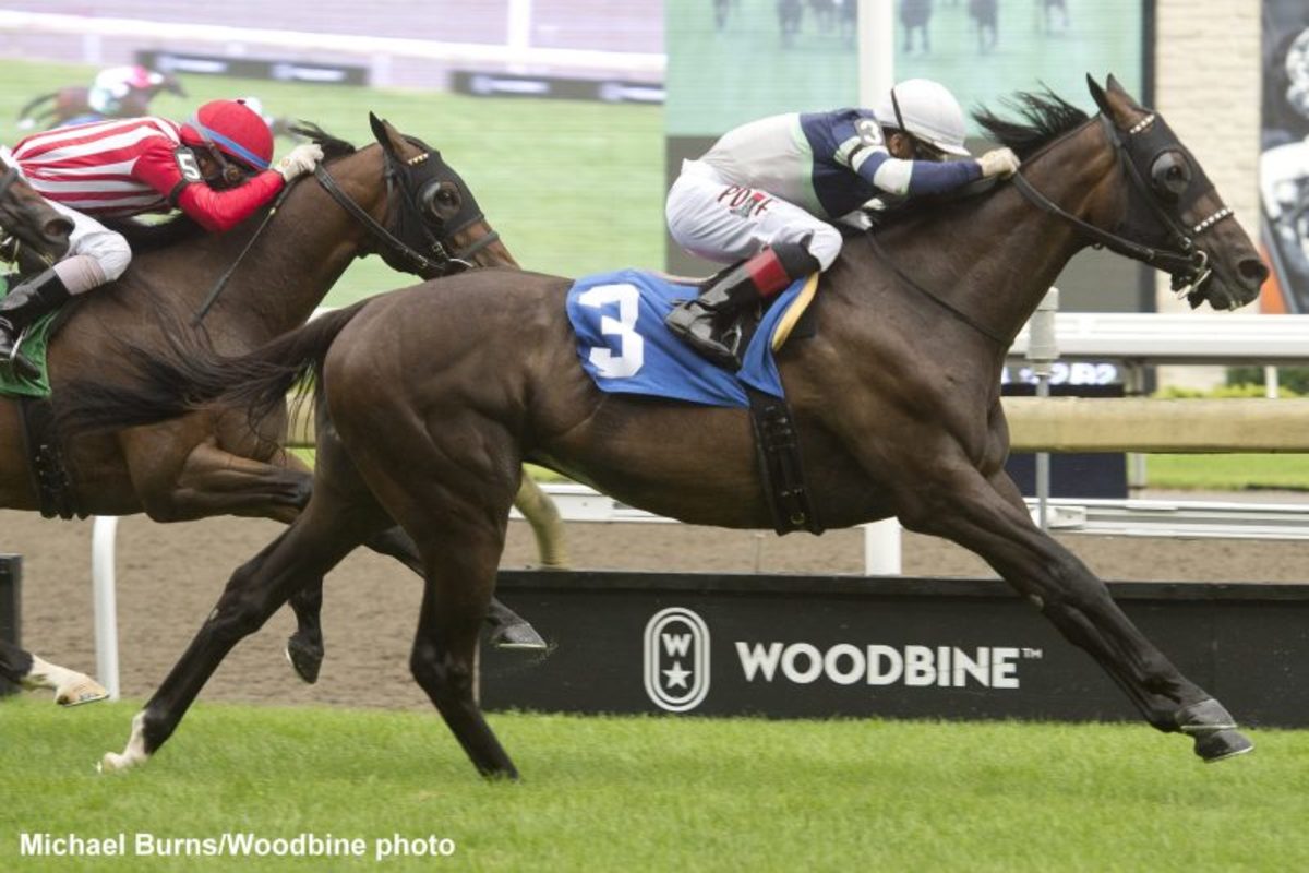 Dream Shake Earns First Stakes Win In Connaught Cup, Survives Foul ...