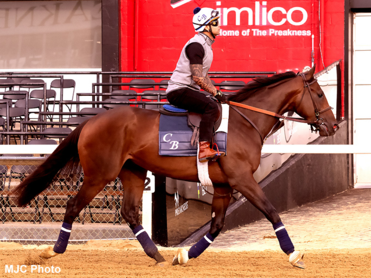 Preakness Runner-Up Blazing Sevens Returns In Saratoga's Curlin Stakes ...