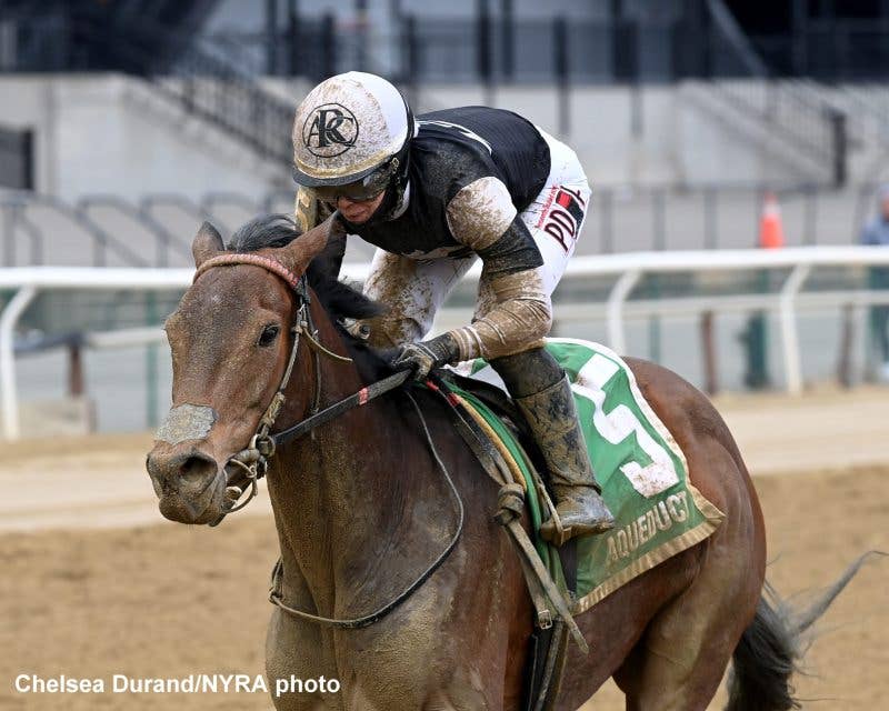 Funny How Powers Last To First In Broadway, Earns First Stakes Victory ...
