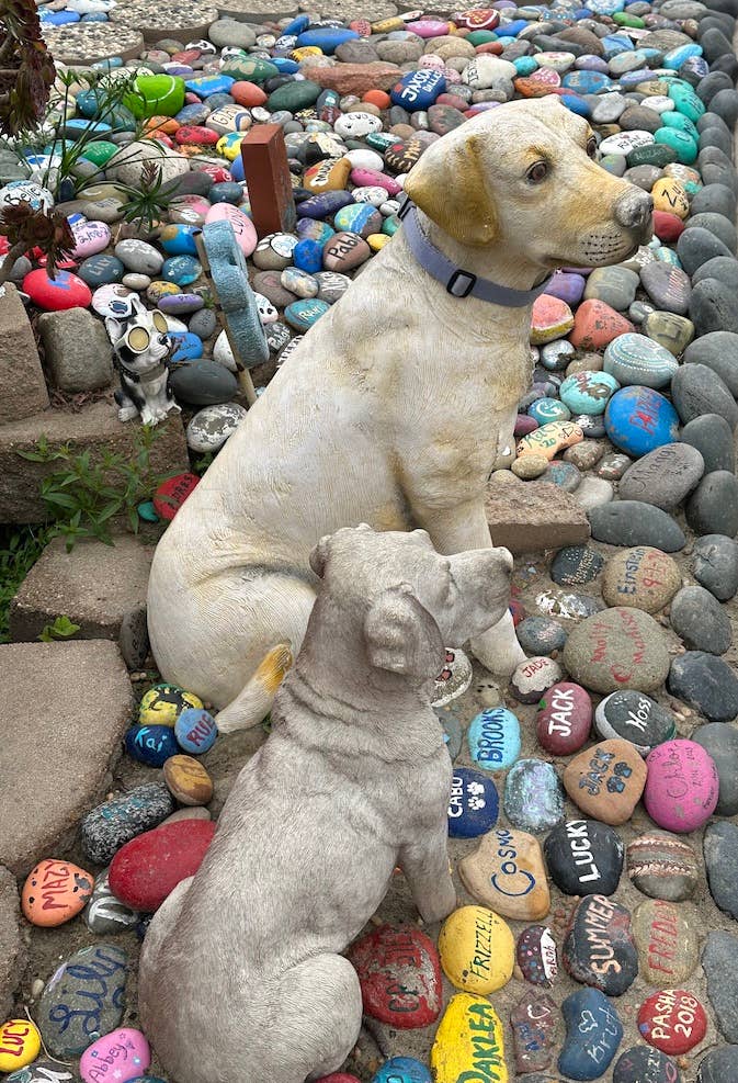 Del Mar Summer: A Side Trip To Dog Beach And Gwen's Garden - Paulick ...