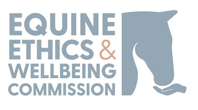 FEI-Appointed Equine Ethics And Wellbeing Commission Launches Survey To ...