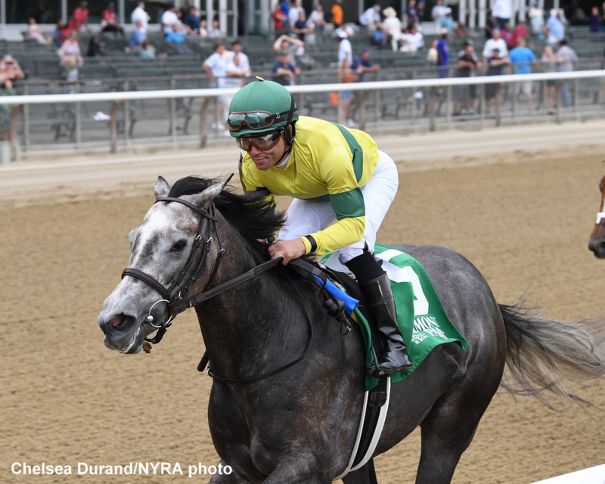 NYRA Issues Statement On Maple Leaf Mel, Circumstances Of Breakdown To ...