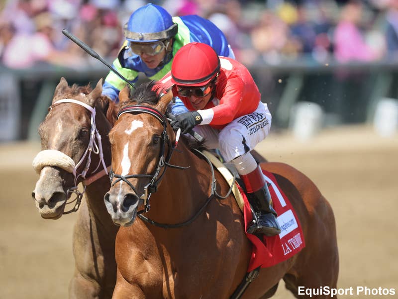 Played Hard Retired From Racing, Will Join Rigney's Broodmare Band ...