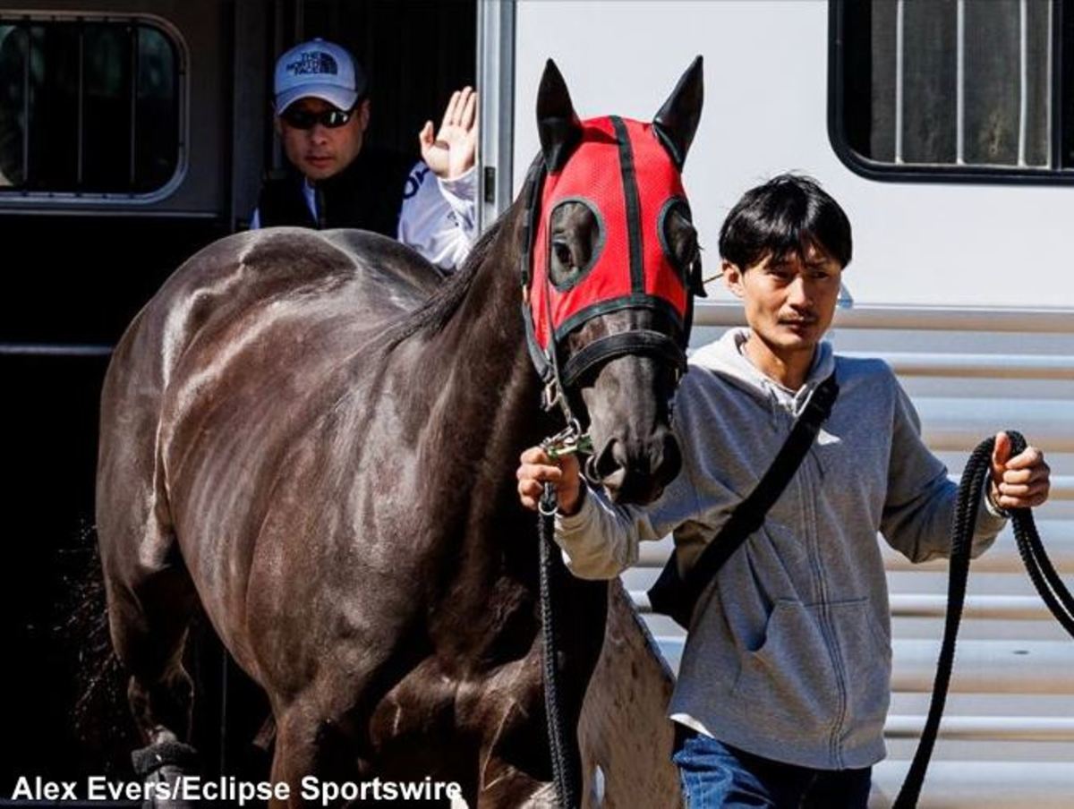 Japan's Mandarin Hero Arrives In Southern California For Santa Anita ...