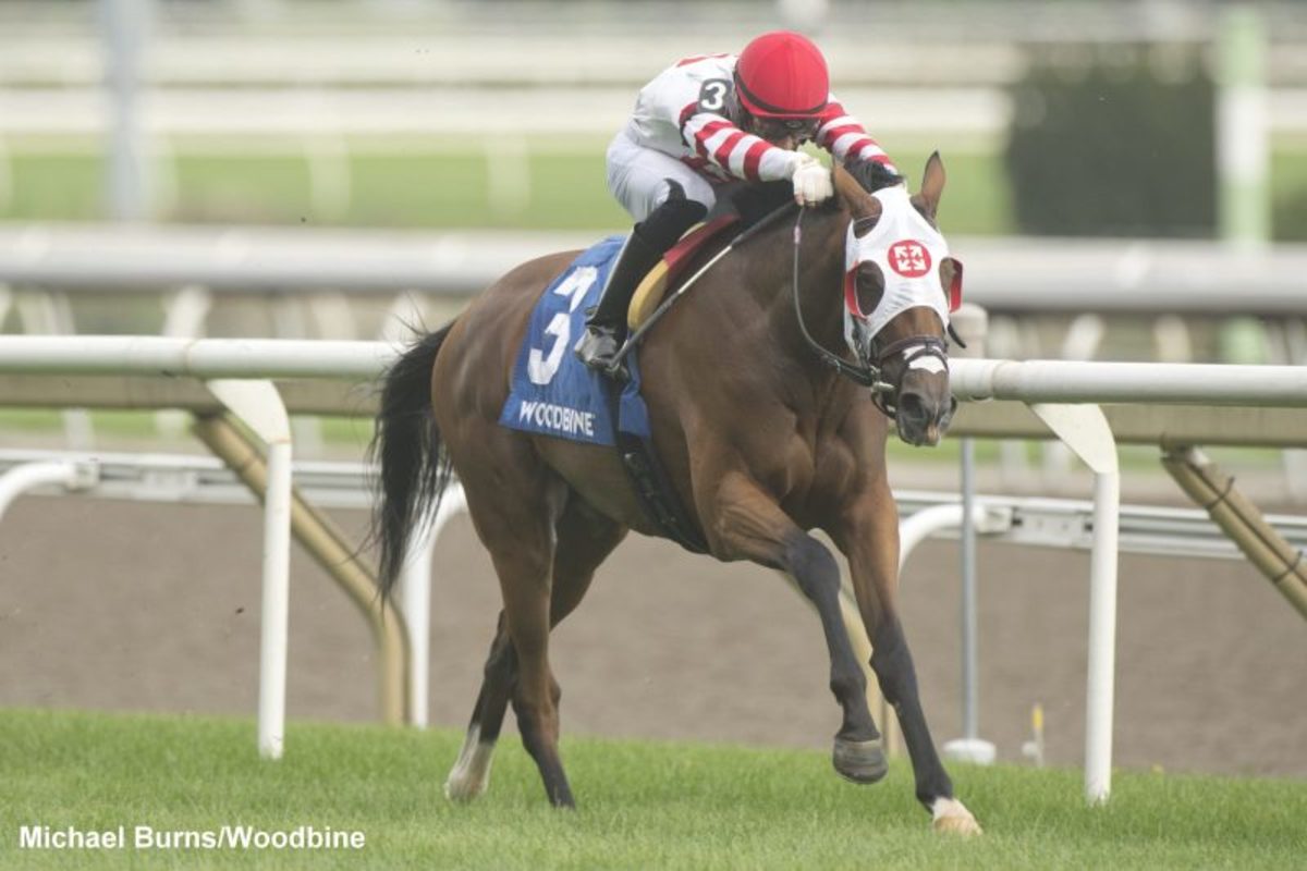 Tito's Calling Uncoils Spirited Rail Rally For Wonder Where Triumph ...