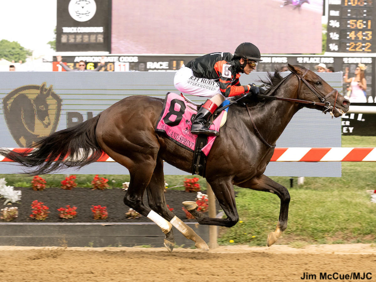 Straight No Chaser Sizzles In Maryland Sprint Stakes - Paulick Report ...