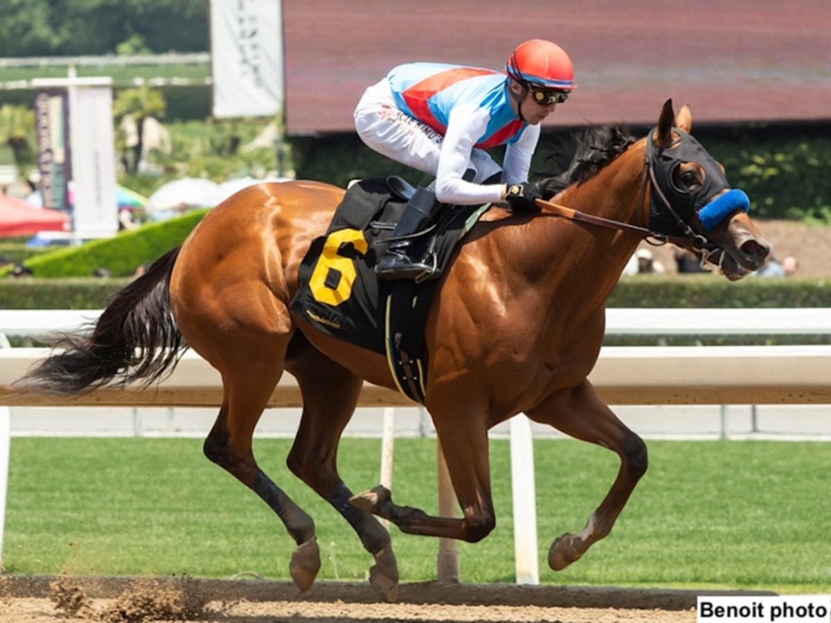 $2-Million Juvenile Purchase Muth Has Just Four Rivals In Sunday's Best ...