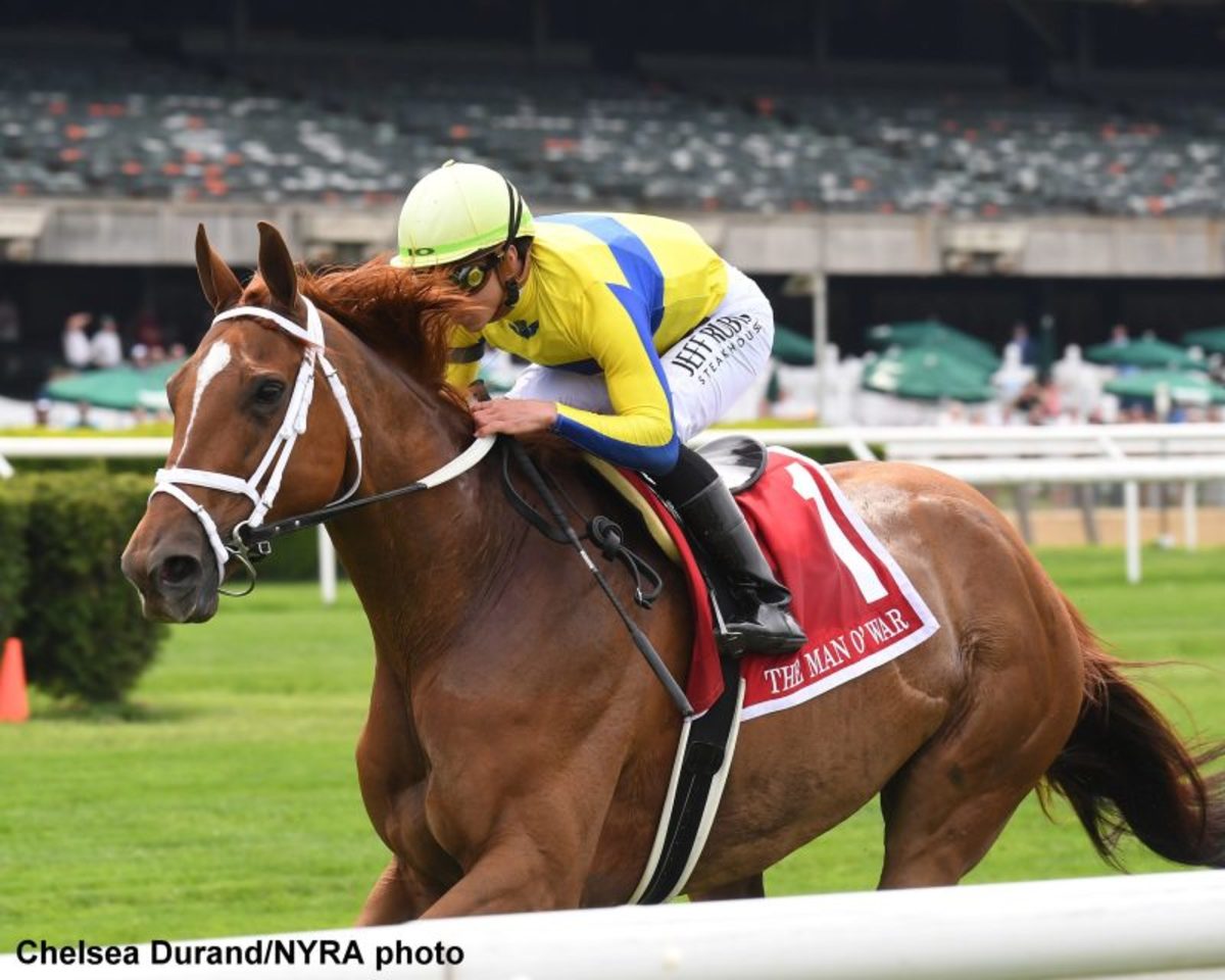 Grade 1 Winner Red Knight Retired To Old Friends - Paulick Report ...