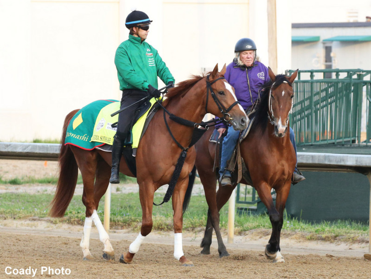 Kentucky Derby Update: Derma Sotogake Stars On Wednesday Worktab At ...