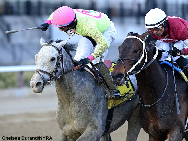 'He Knows Where The Wire Is': Veteran Dr Ardito Returns In Saturday's ...