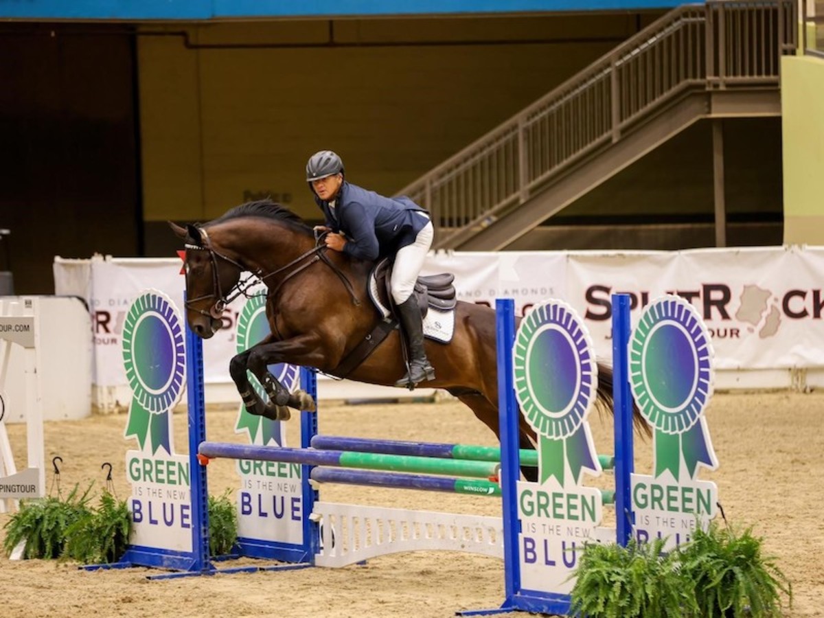 Horowitz On OTTBs Presented by Excel Equine: The Success Of Cozmic One ...