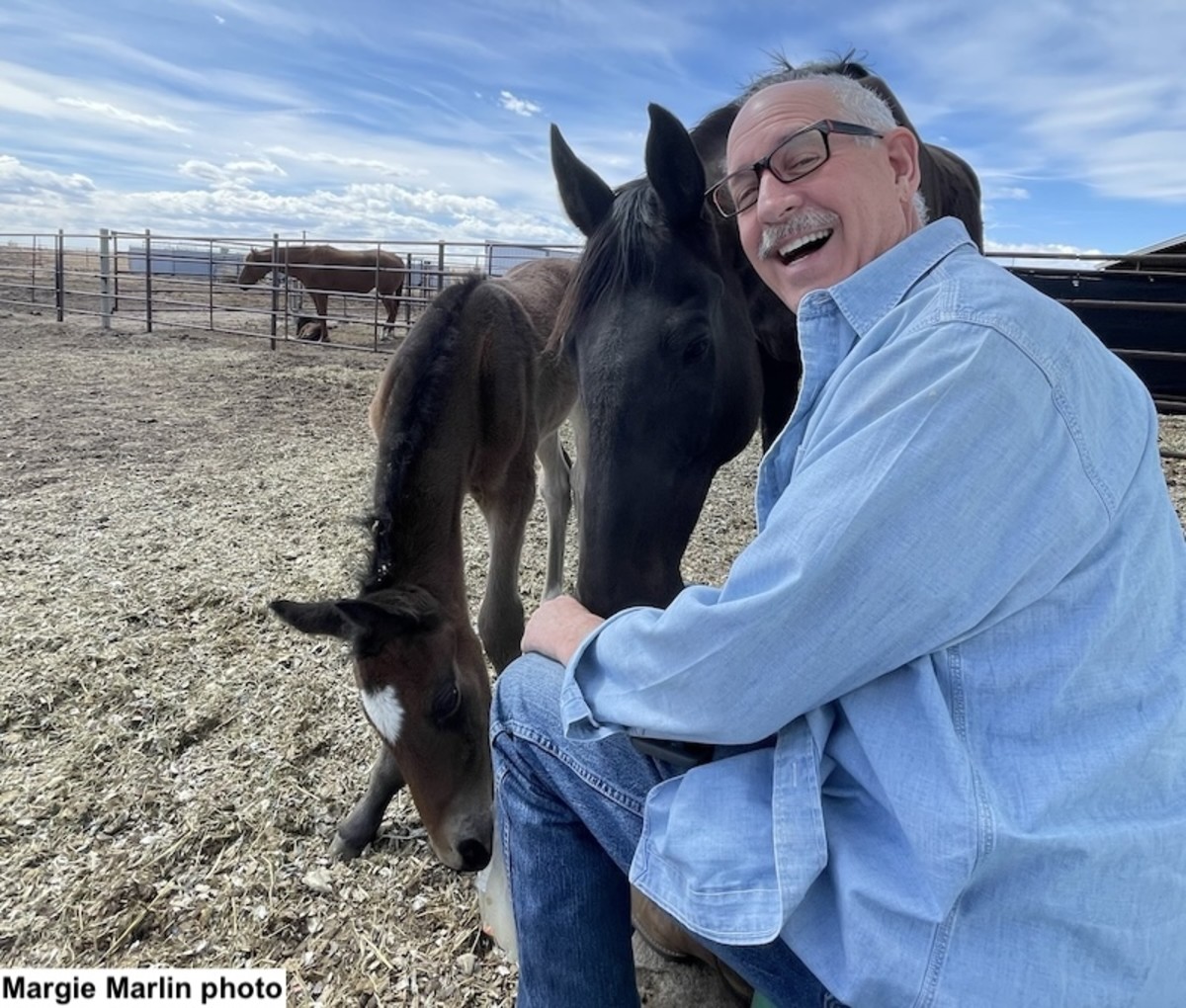 Horowitz On OTTBs Presented by Excel Equine: One Of Most Significant ...