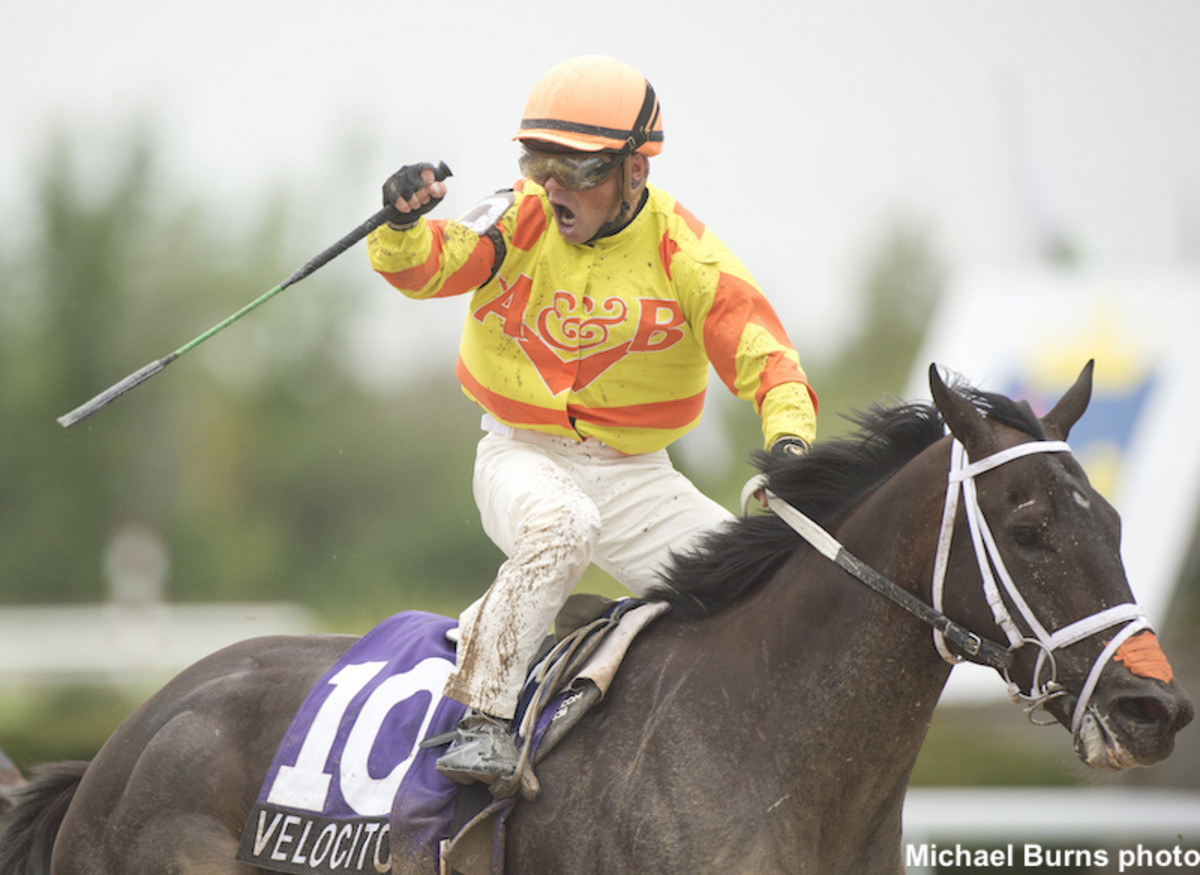 'Bittersweet': Jockey Justin Stein Retires (Again) - Paulick Report ...