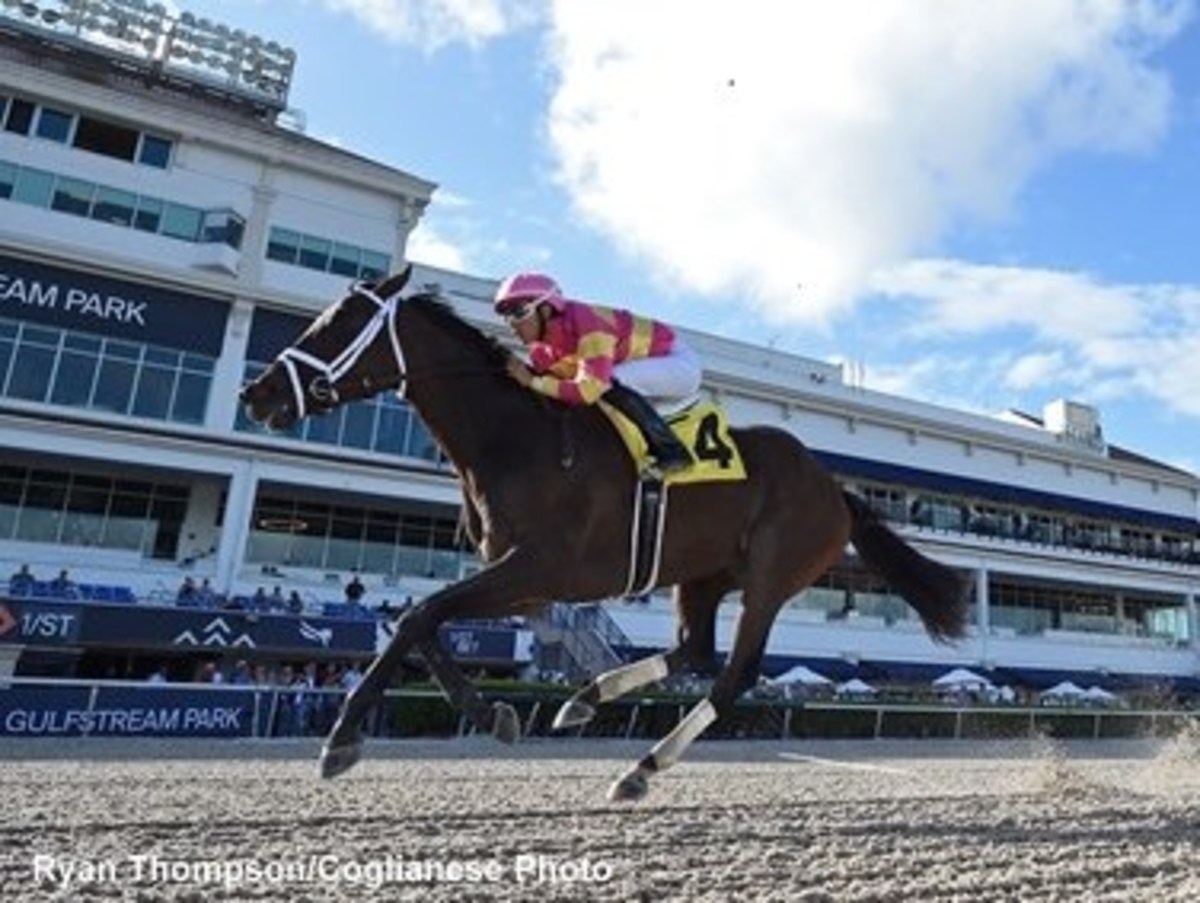 'Hopefully She'll Handle The Surface Switch': Avow Returns To State ...