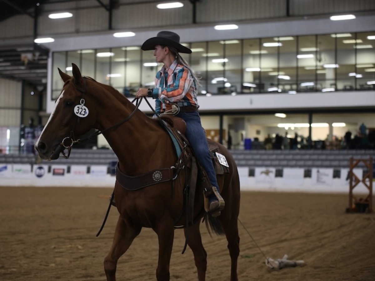 Horse And Jockey Stay Partners, Even After The Track - Paulick Report ...