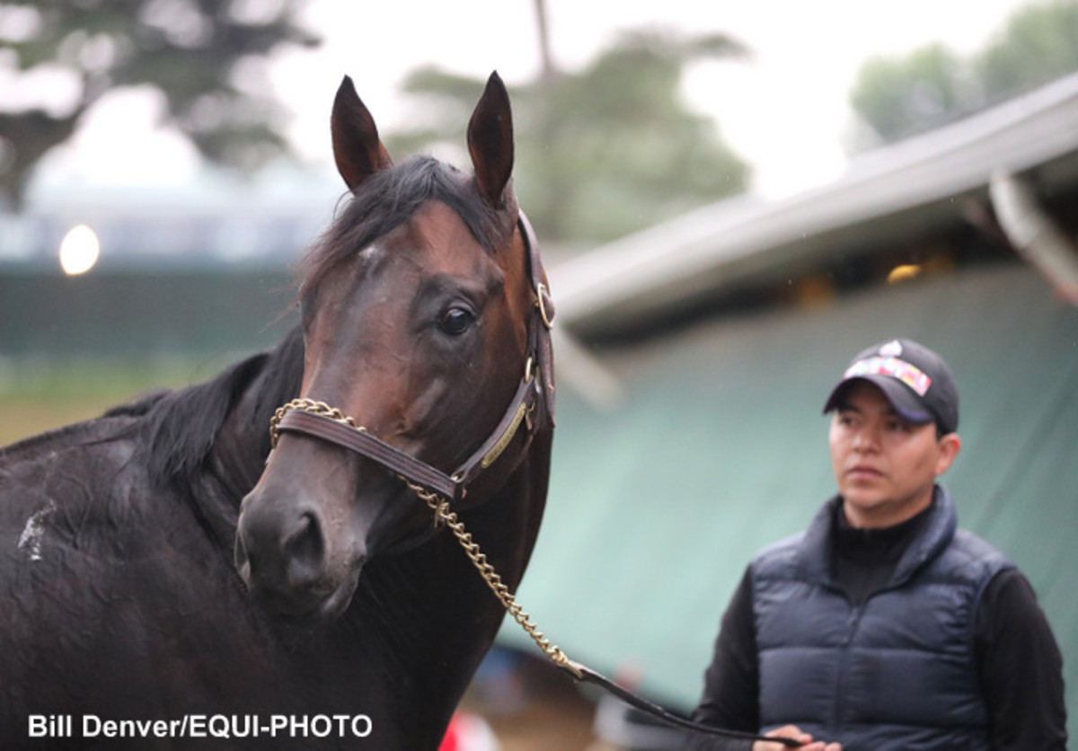 'He Fought Hard': Unable To Stand After Surgery, Geaux Rocket Ride ...