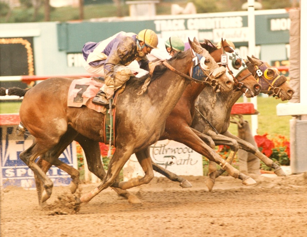 This Week In History: A Triple Dead Heat - Paulick Report | Latest news ...