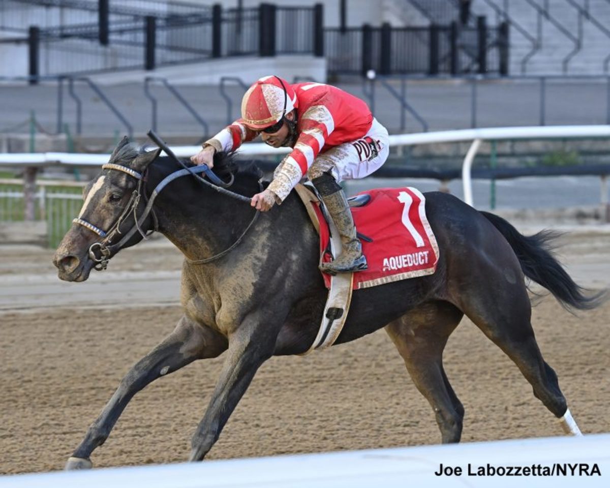 Equibase Analysis: Princess Mayfair Can Wear Busanda Crown - Paulick ...