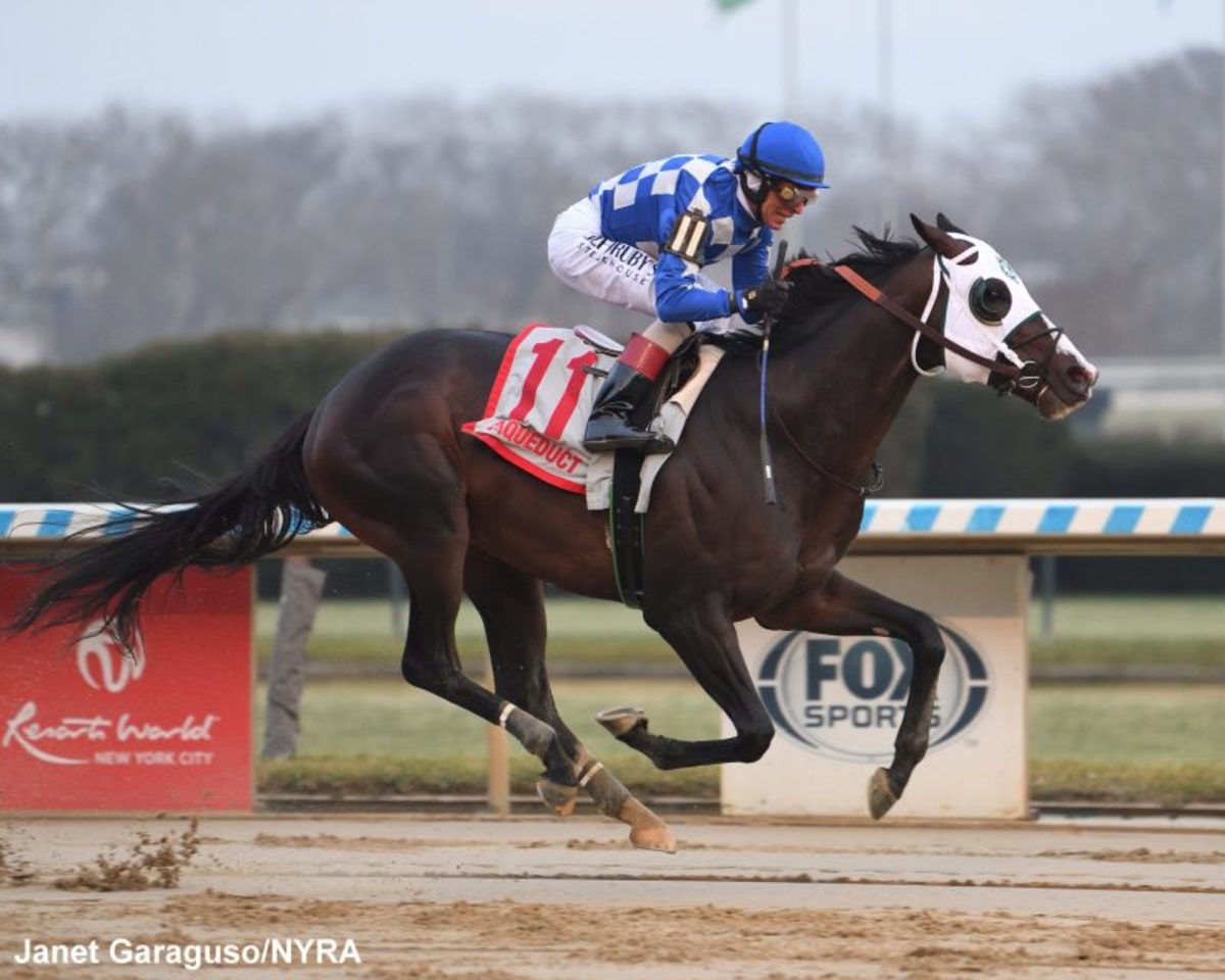 Freewheeling Hoist The Gold Cruises To Cigar Mile Win, Tops Exacta For ...