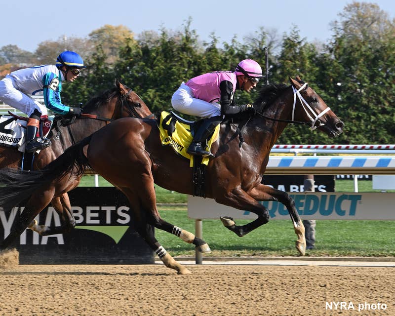 Dutrow-Trained Where's Chris Springs 19-1 Surprise In Nashua - Paulick ...