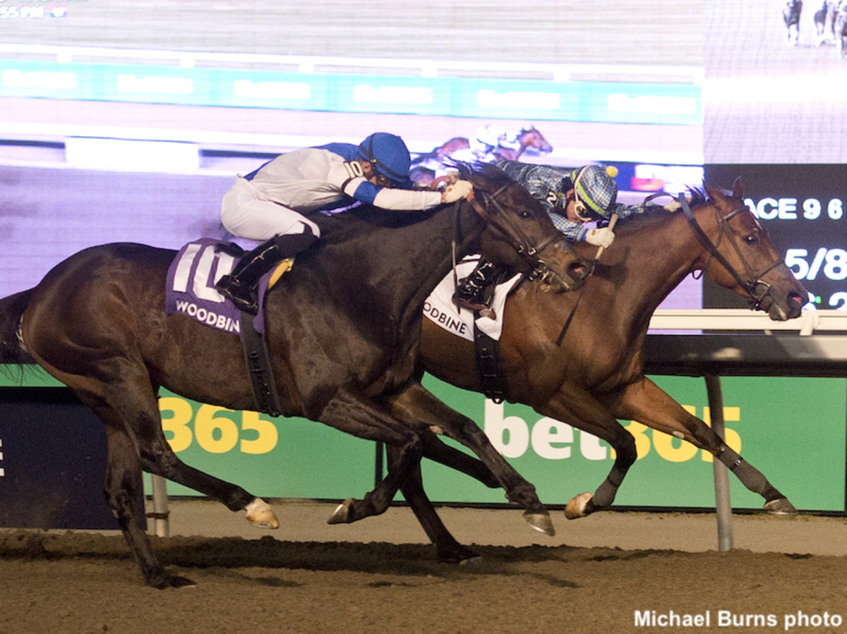 Bloodlines Presented By Walmac Farm: Flag Of Honour Adds Another ...