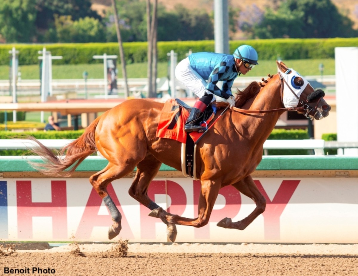 Unbeaten California Sprinter Bolden To Enter Stud At Rancho San Miguel ...
