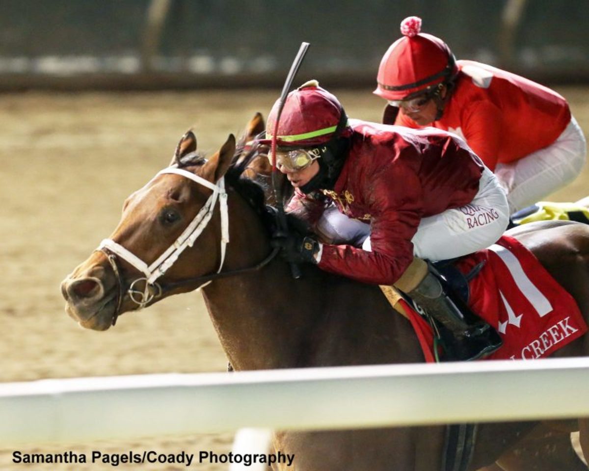 Youalmosthadme Chasing Graded Success In Miss Preakness - Paulick ...
