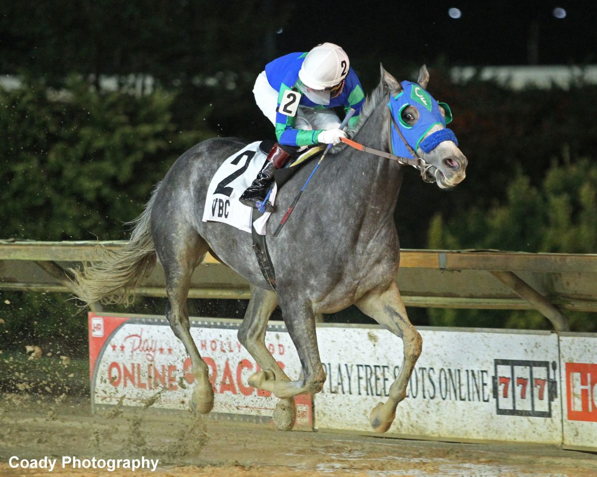 West Virginia-Bred Standout Coastal Mission To Try First Graded Win In ...