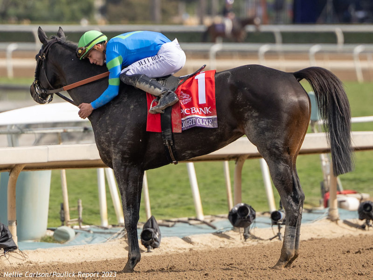 Ryan Moore Fined $20,800 For Breeders' Cup Whip Violation; Irad Ortiz ...