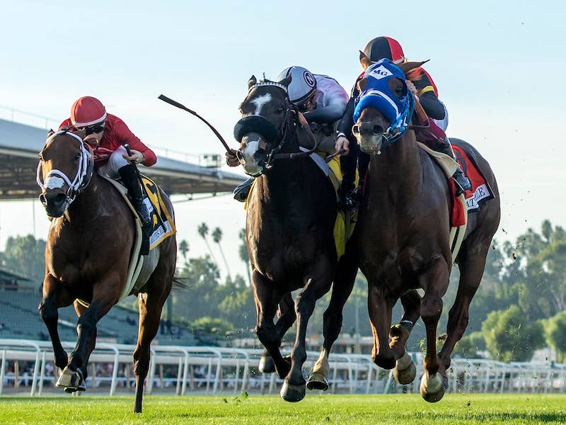 Scrappy Watsonville Edges Almendares In Mathis Mile - Paulick Report ...