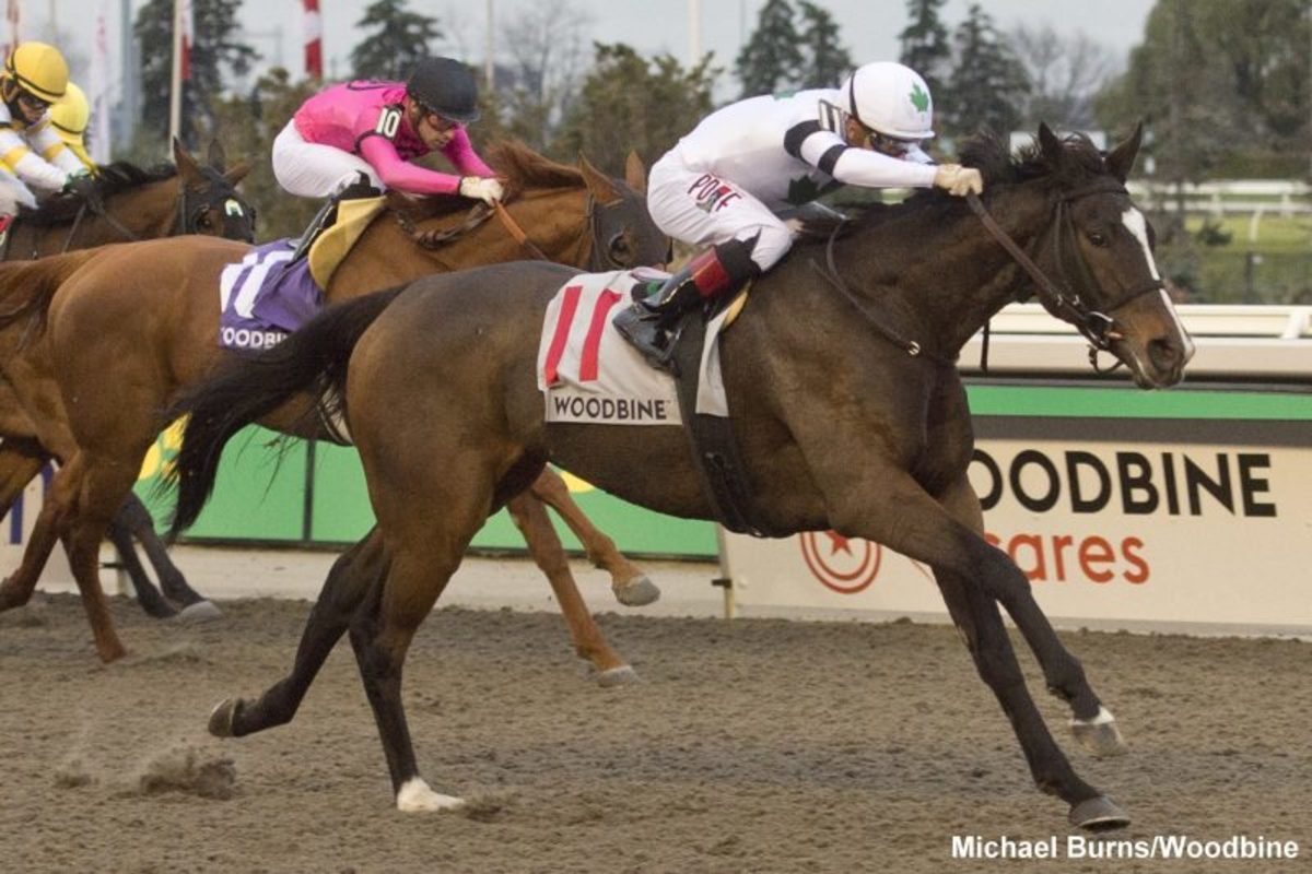 Champion Millie Girl Tops First Session Of Fasig-Tipton December ...