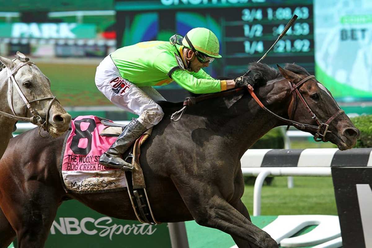 Hog Creek Hustle Moves To War Horse Place For 2024 - Paulick Report ...