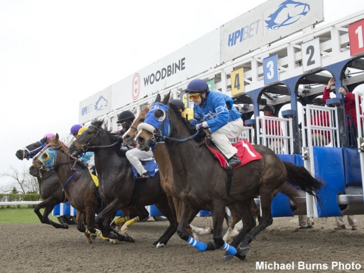 Woodbine Releases 2024 Stakes Schedule; Canadian International Will Not ...