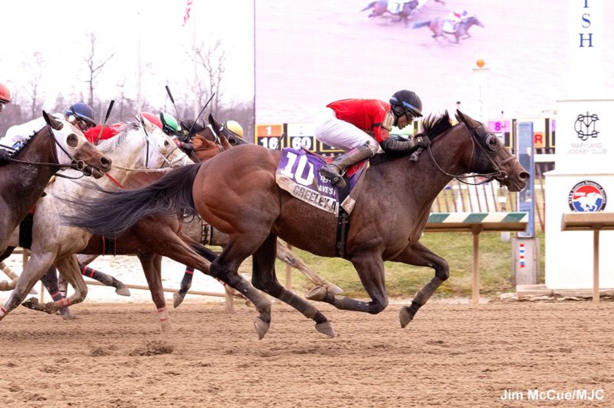 Laurel Roundup: Greeley and Ben, Double Crown, Saddle Up Jessie ...