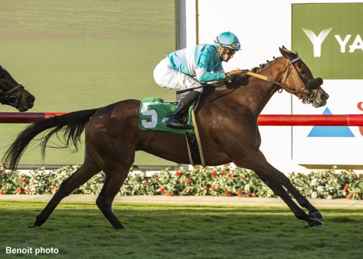 Dolce Zel Breaks Through Gate Before Winning Return In Kathryn Crosby ...