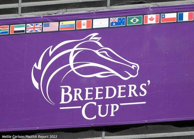 Explanations And Excuses: Future Stars Friday Connections React In ...