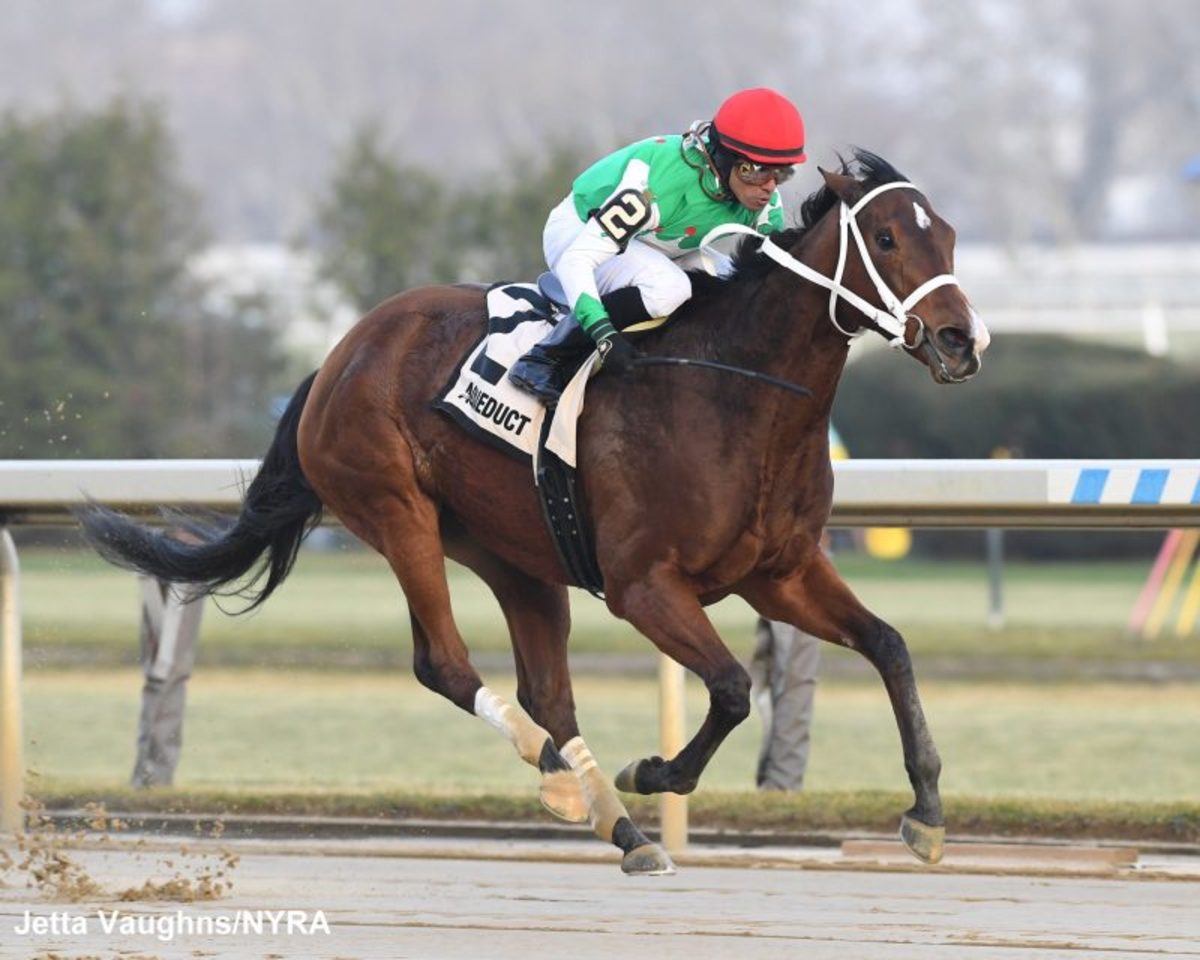 'Ran Hard The Whole Way': Dr B Makes All In Go For Wand Repeat ...