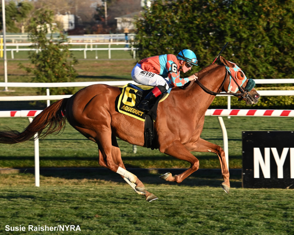 Nothing Better Makes All For Second Straight Aqueduct Turf Sprint ...