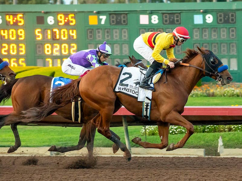 Bloodlines Presented By Walmac Farm: Solomini Stock Rising With Big ...