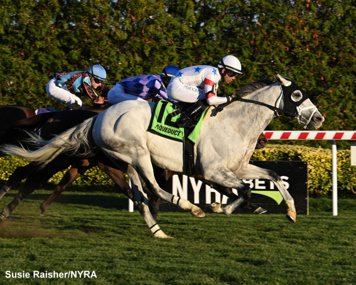 Master Piece Could Take Second Crack At Pegasus World Cup Turf ...